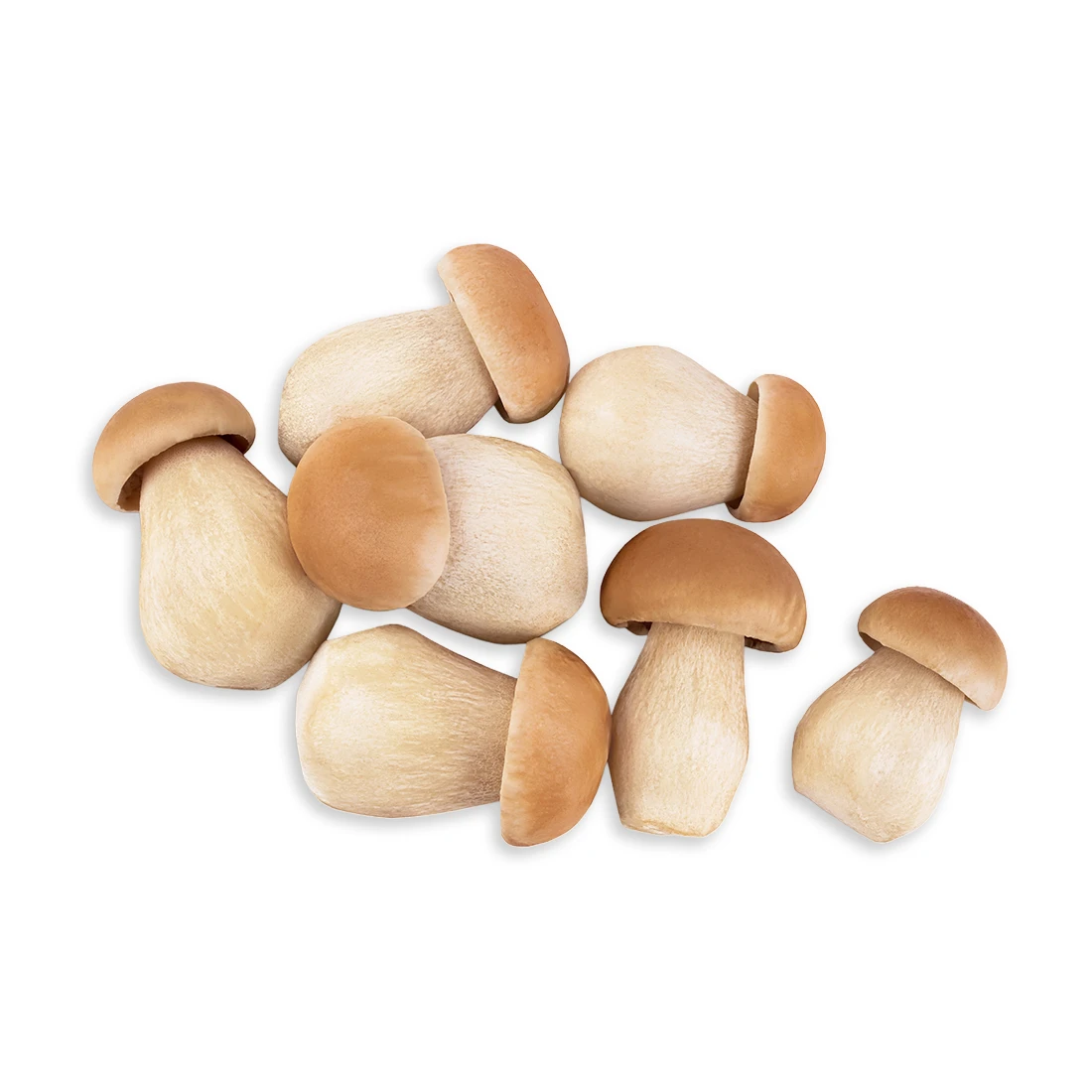 Porcini: valori nutrizionali, proprietà e ricette | FRoSTA